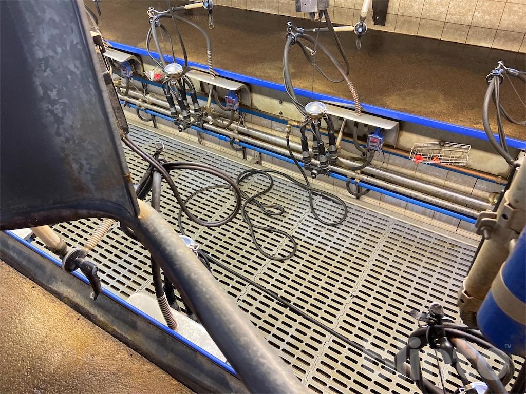 Mjölkgrop - DeLaval | Blinto auktioner