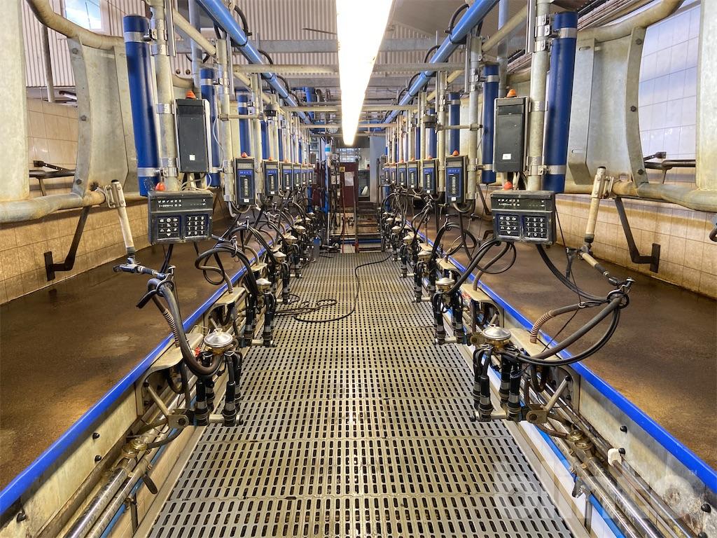 Mjölkgrop - DeLaval | Blinto auktioner