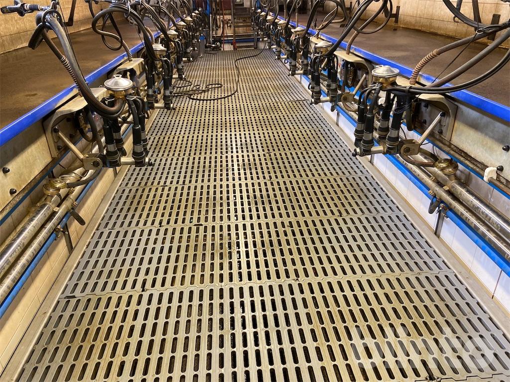 Mjölkgrop - DeLaval | Blinto auktioner