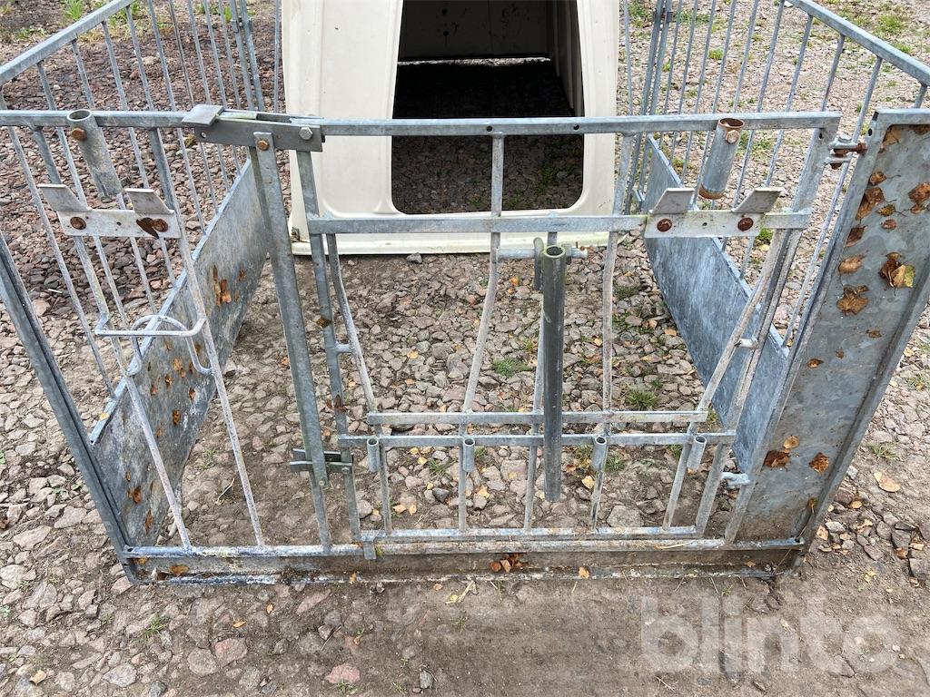 Kalvhyddor - Calf-tel | Blinto auktioner