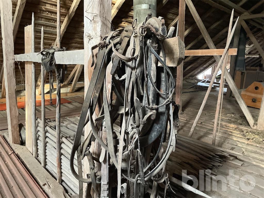 Selar - Häst | Blinto auktioner