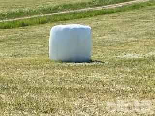 Ensilage - 50 st balar | Blinto auktioner