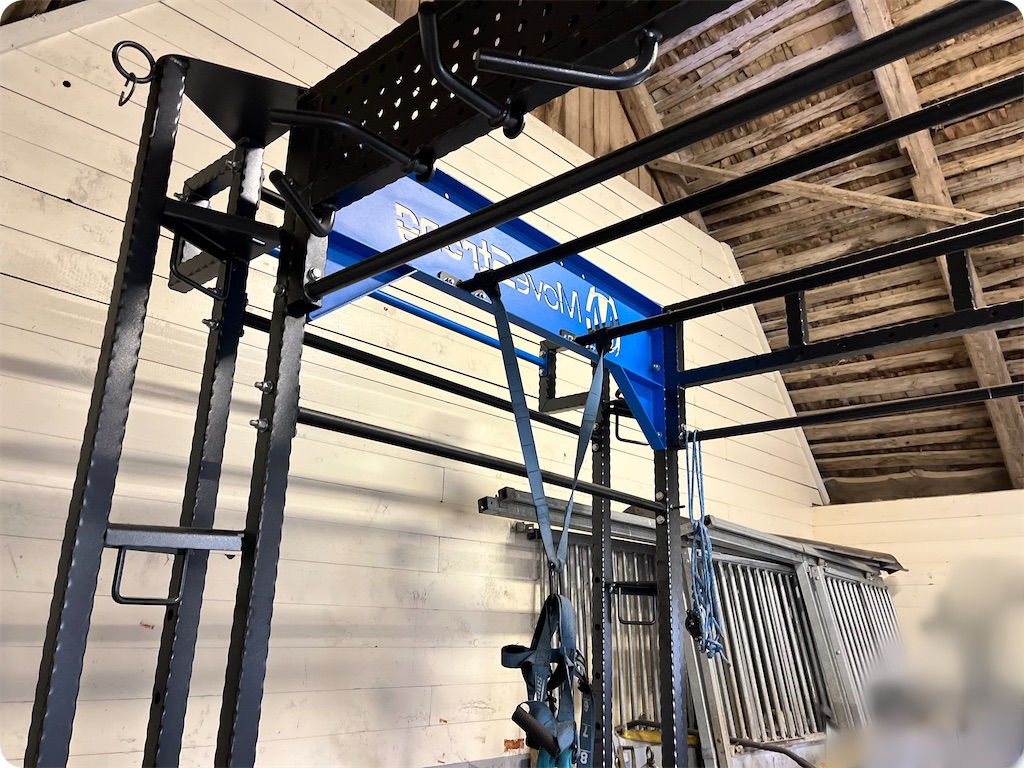 Crossfit Gym - MoveStrong -Functional Training | Blinto auktioner