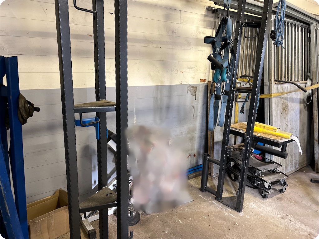 Crossfit Gym - MoveStrong -Functional Training | Blinto auktioner