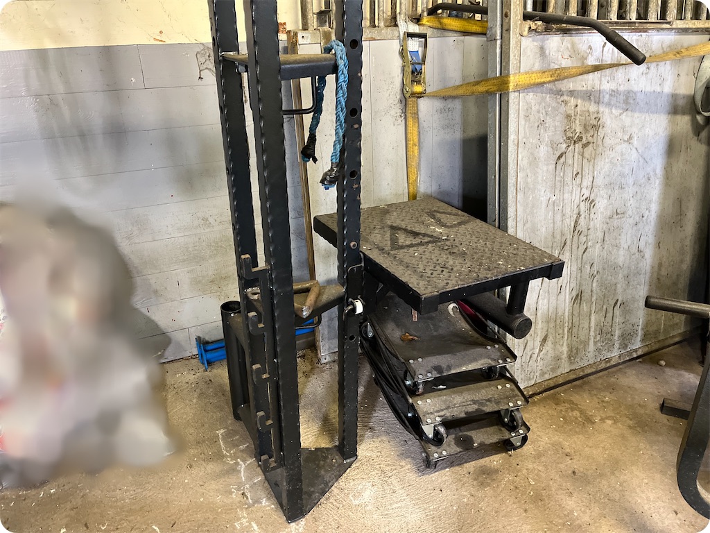 Crossfit Gym - MoveStrong -Functional Training | Blinto auktioner