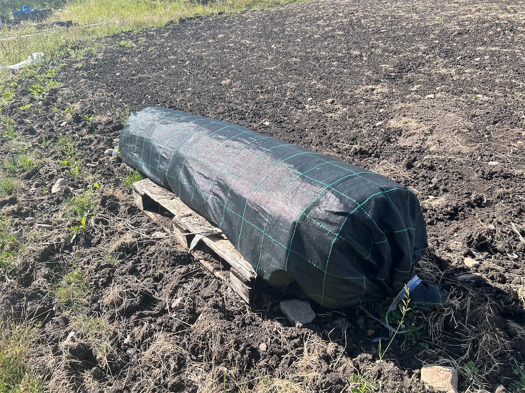 Växthusfolie - Scandinavian Class | Blinto auktioner