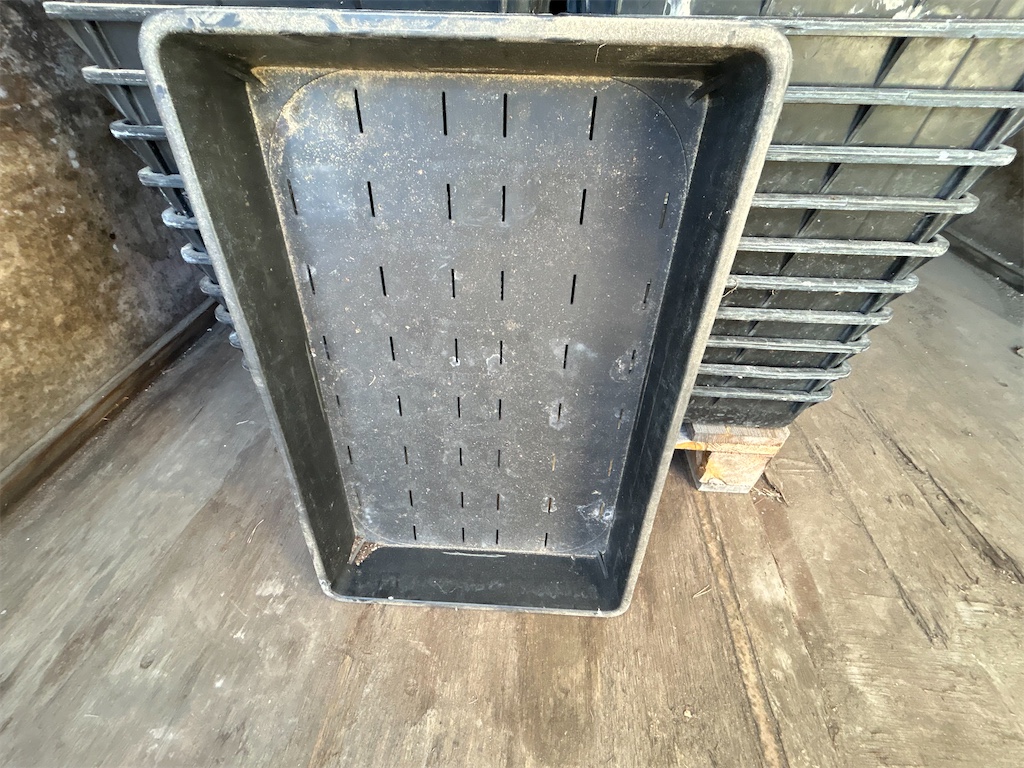 Odlingslådor brätte - 600x400 mm | Blinto auktioner