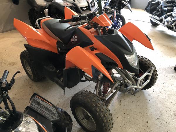 Fyrhjuling - ATV 300cc | Blinto auktioner